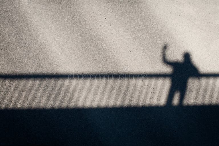 Shadow of a Man Waving from a Bridge Stock Photo - Image of asphalt ...