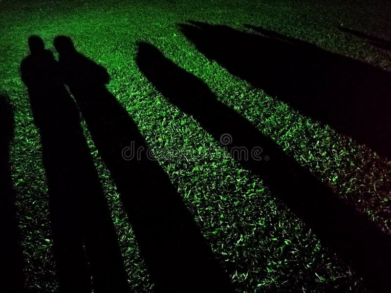 The Shadow of Many People on the Green Lawn at Night, People Shadows ...