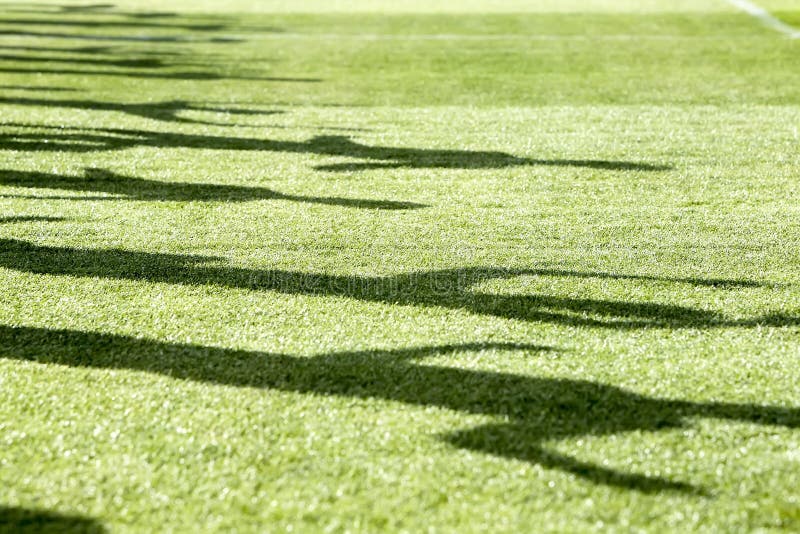 Shadow Men Running Green Field Stock Photos - Free & Royalty-Free Stock ...