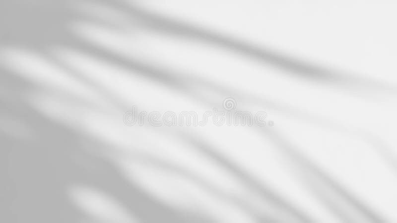 Shadow Motion of Branch Tree Leaves on Wall. Sunlight Overlay Effect ...