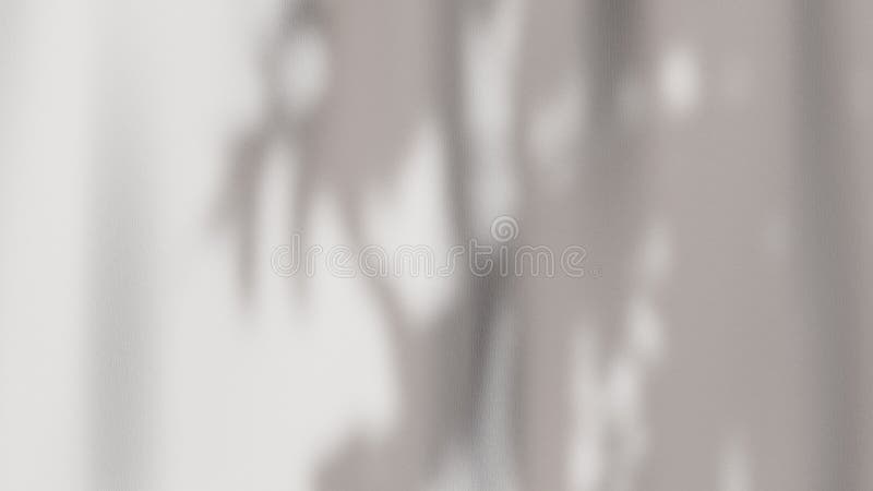 Shadow of Moving Palm Leaves on Fabric Loopable Background. 3d Render ...