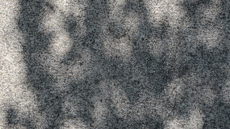 Shadow of Moving Tree Branch on Stone Texture Surface Stock Video ...