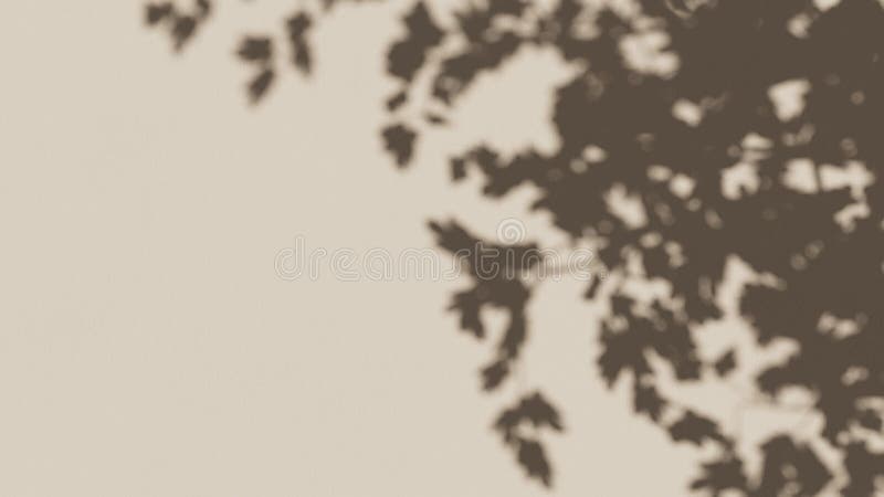 Shadow of Moving Tree Leaves on the Wall Loopable Background. 3d Render ...