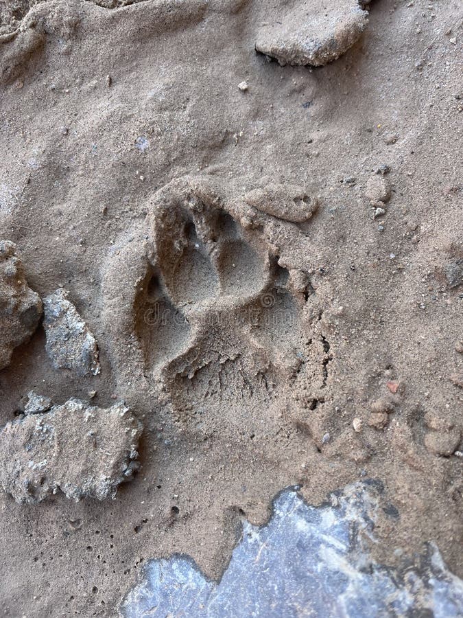 Shadow mud stock photo. Image of iron, carving, badlands - 257708748