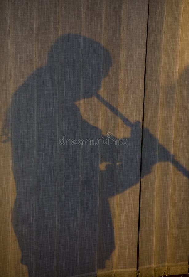 Shadow of a Musician Playing the Flute on Verticals Stock Image - Image ...