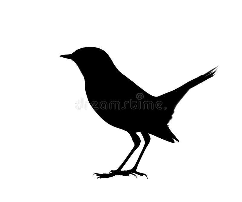 Shadow of the Nature, Black Bird Shadow on White Background Stock ...