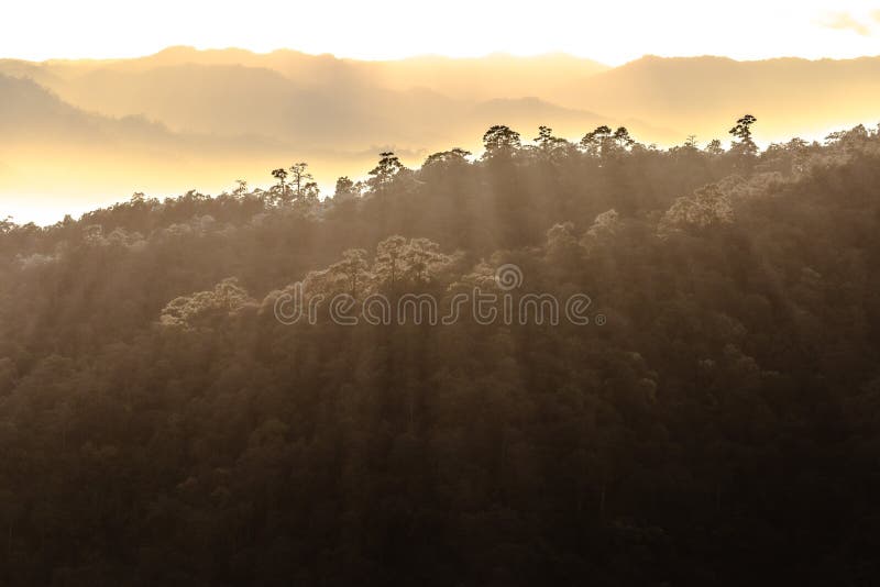 Shadow of the Nature in the Afternoon Stock Photo - Image of covered ...