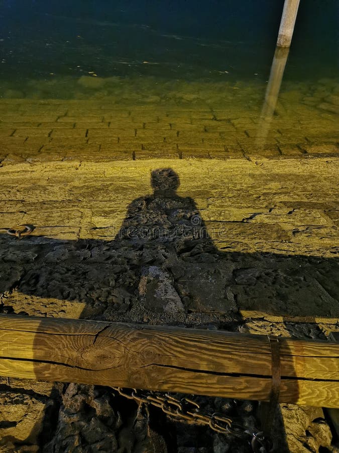 Shadow at Night on the Shore Stock Photo - Image of leaf, shore: 179538396