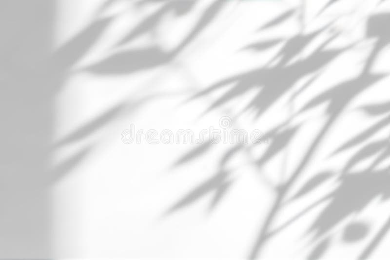 Shadow Overlay Effect. Abstract Sunlight Background with Organic ...