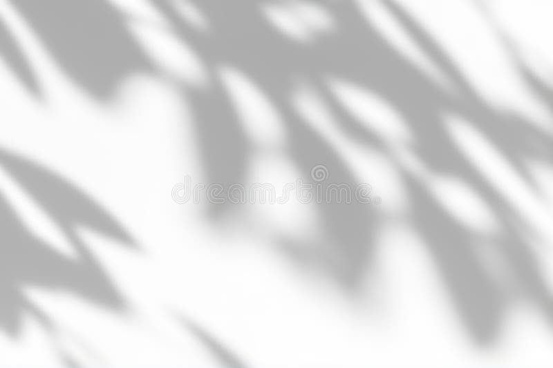 Shadow Overlay Effect. Abstract Sunlight Background with Organic ...