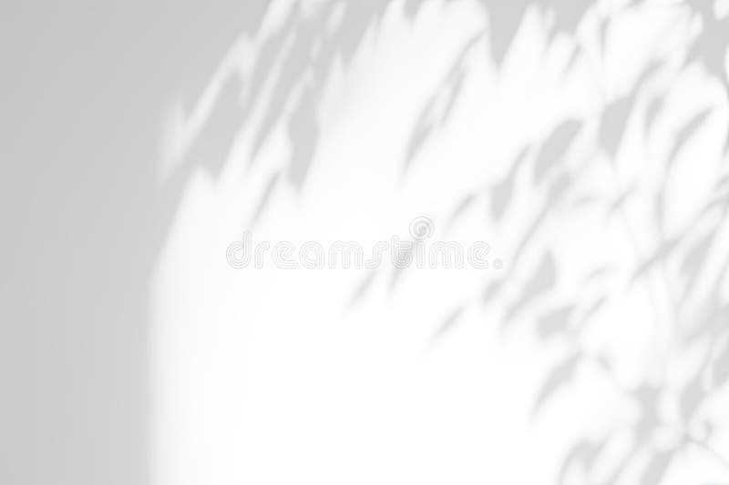 Shadow Overlay Effect. Abstract Sunlight Background with Organic ...