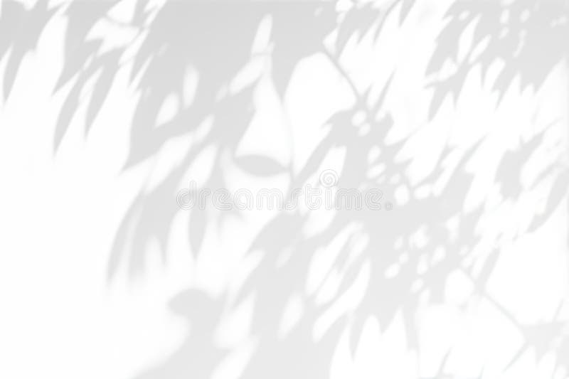 Shadow Overlay Effect. Abstract Sunlight Background with Organic ...