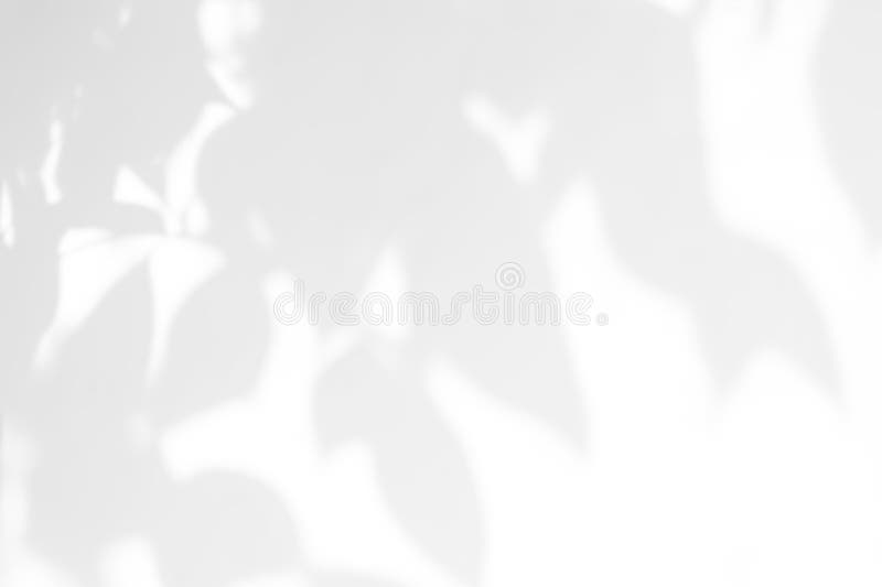 Shadow Overlay Effect. Abstract Sunlight Background with Organic ...