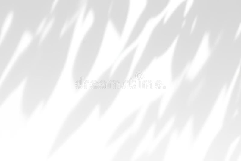 Shadow Overlay Effect. Abstract Sunlight Background with Organic ...