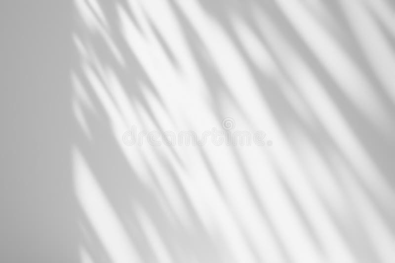 Shadow Overlay Effect. Abstract Sunlight Background with Window Shadows ...