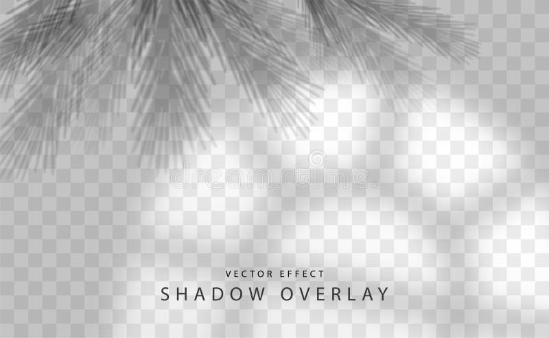 Overshadow Stock Illustrations – 383 Overshadow Stock Illustrations ...