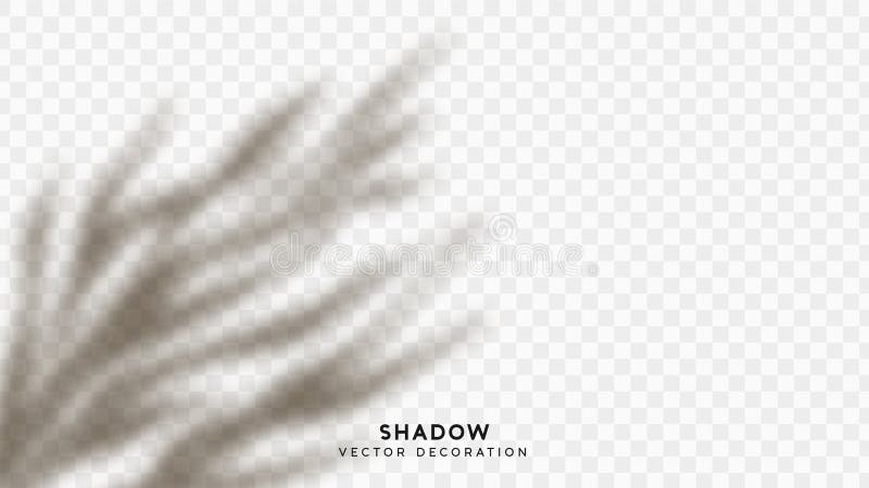 Shadow Overlay. Effect Light Transparent Shadow. Realistic Creating ...