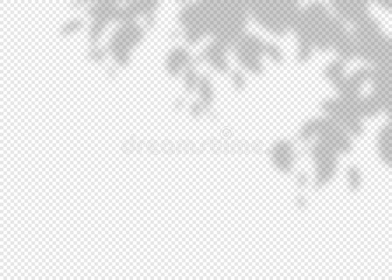 Shadow Overlay Effect of Tree Branches and Leaves Stock Vector ...