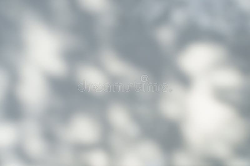 Shadow Overlay Effect for Photo. Shadows from Tree Leaves and Tropical ...