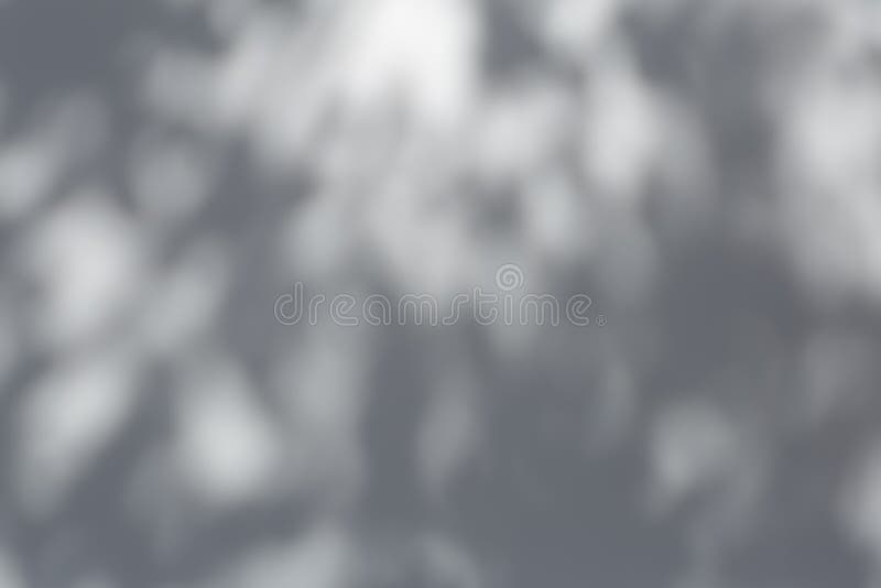 Shadow Overlay Effect for Photo. Shadows from Tree Leaves and Tropical ...