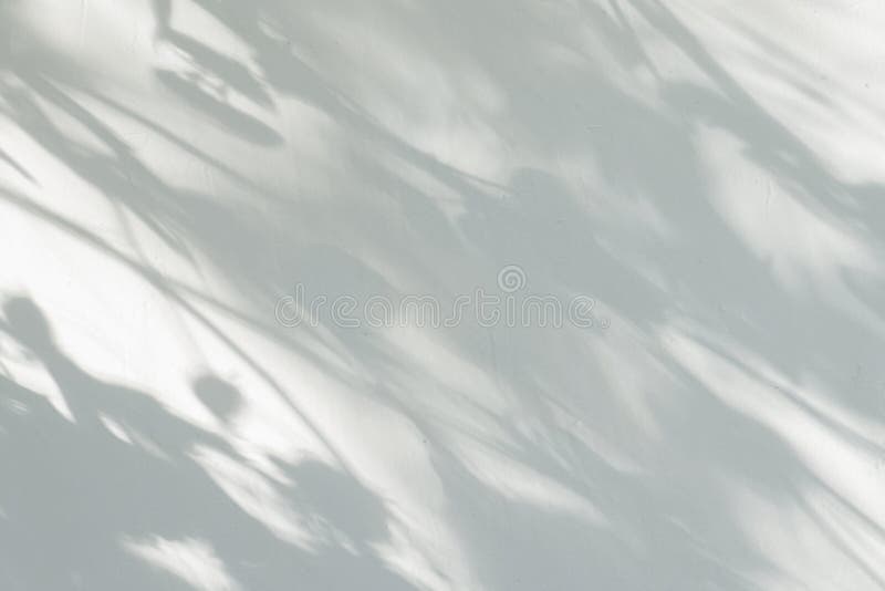Shadow Overlay Effect for Photo. Shadows from Tree Leaves and Tropical ...