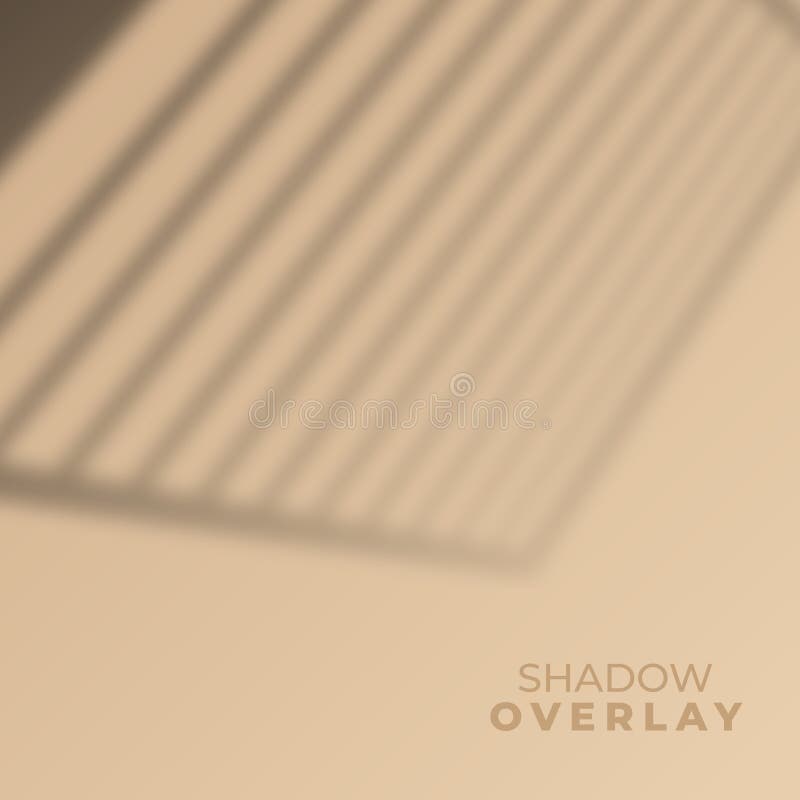 296. Shadow Overlay Effect of Room Window Stock Vector - Illustration ...