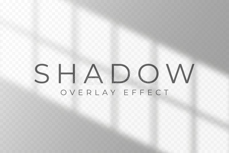 Shadow Overlay Effect. Transparent Soft Light and Shadow from Window ...