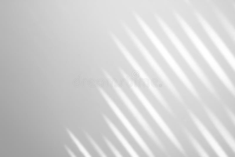 Shadow Overlay Effect on White Background. Abstract Sunlight Background ...