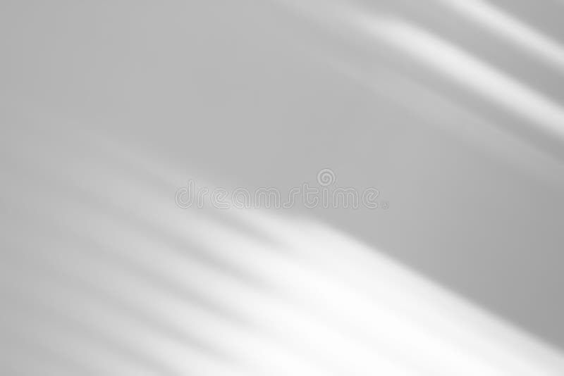 Shadow Overlay Effect on White Background. Abstract Sunlight Background ...