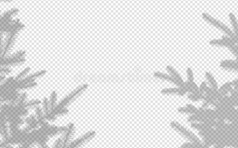 Shade Tree Transparent Background Stock Illustrations – 2,687 Shade ...