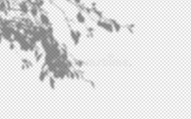 Shadow Tree Png Stock Illustrations – 1,352 Shadow Tree Png Stock ...