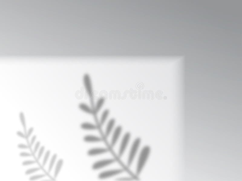 Shadow Overlays Mockups for Presentations. Set with the Effect of Sun ...