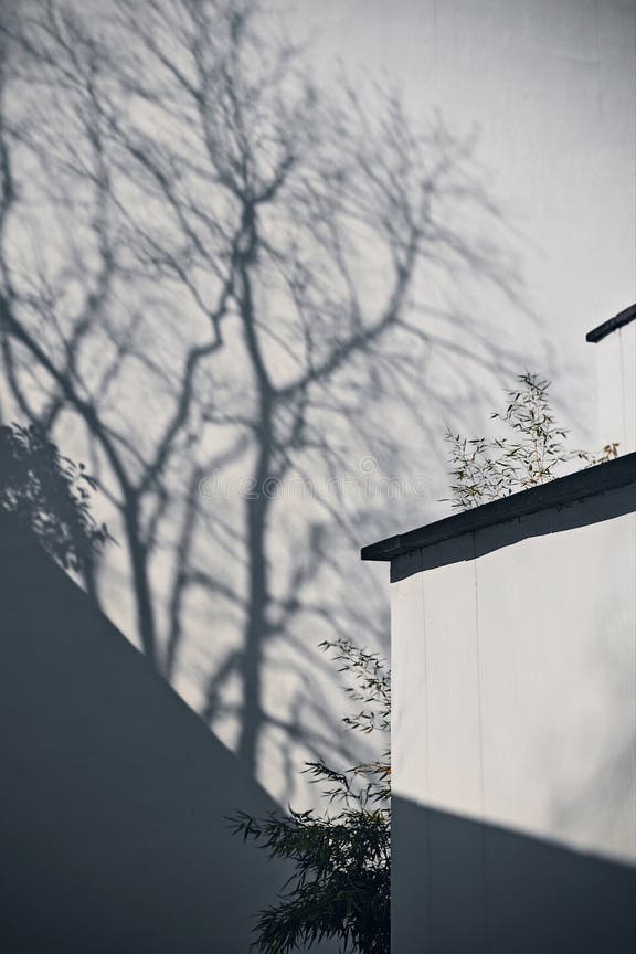 Shadow Painting stock image. Image of wall, visible - 366166265