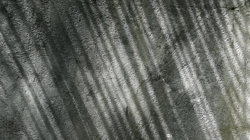 Shadow from a Palm Leaf on a Concrete Wall. Moving Shadow Stock Video ...