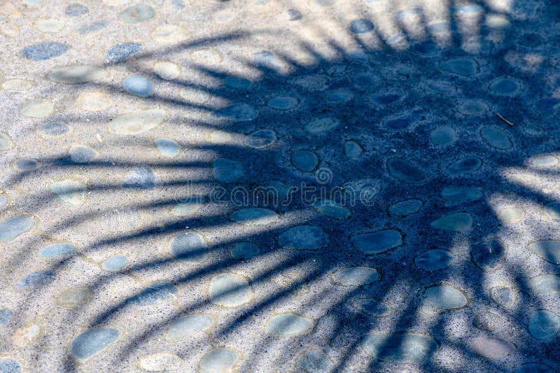 Shadow from Palm Leaves on the Wall in the Bright Sun 4 Stock Image ...