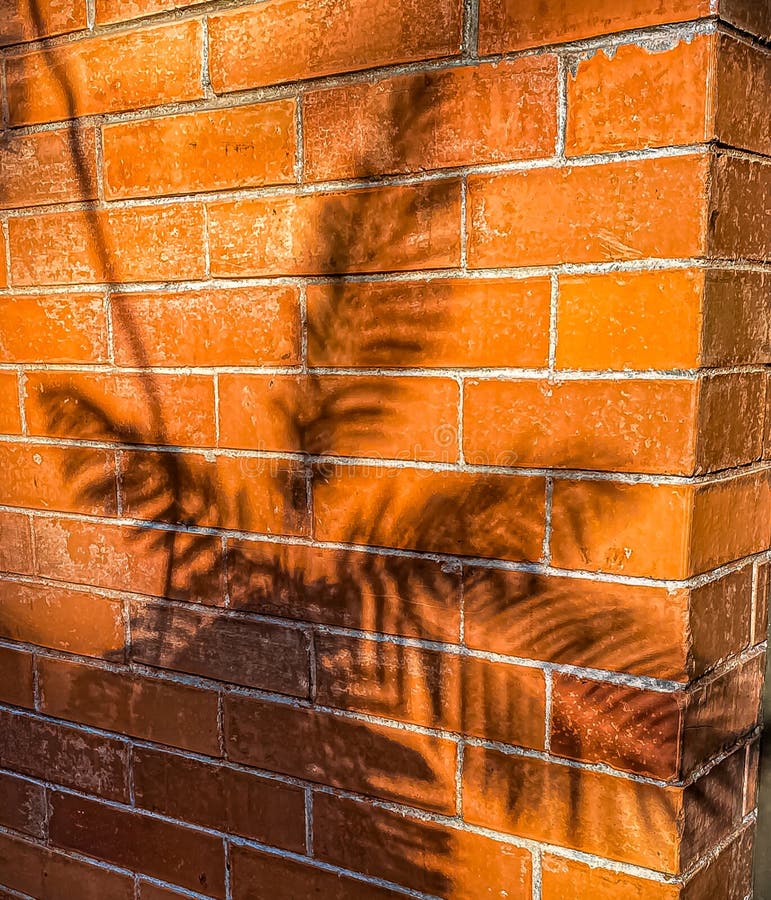 Shadow of a Palm Tree Over a Brick Wall. Stock Image - Image of iron ...