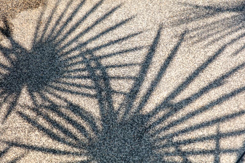 The Shadow of a Palm Tree on the Road As a Background Stock Photo ...