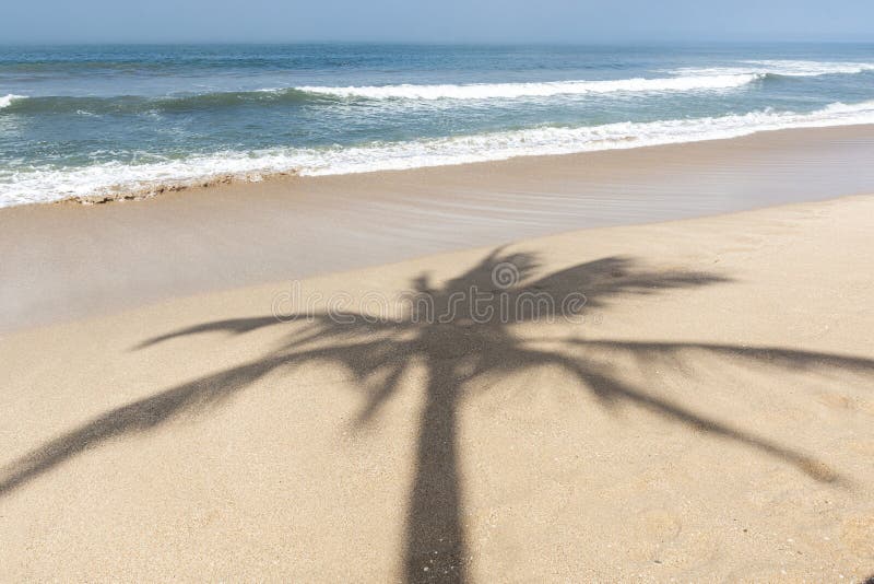 Shadow of a Palm Tree on the Sandy Beach of Mazatlan, Mexico Stock ...