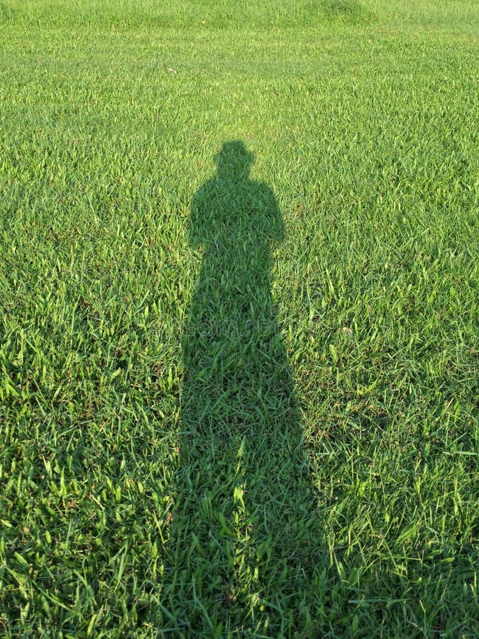 Shadow stock image. Image of shadow, green, floor, park - 51514143