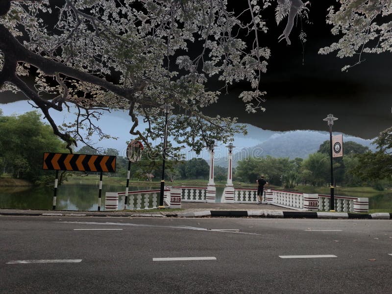 Shadow Park. stock image. Image of step, park, beautiful - 155684465