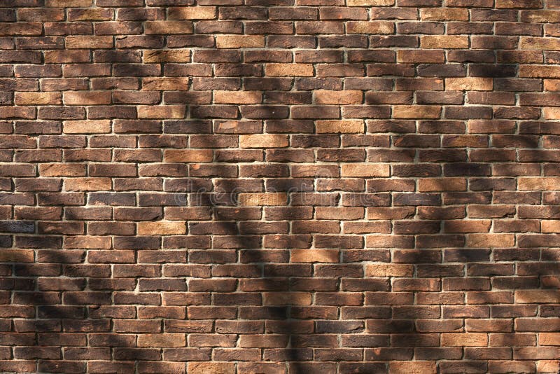 Shadow Pattern of Tree Branches on Brick Wall Stock Image - Image of ...