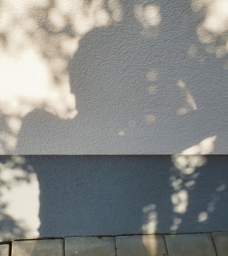 Shadow Patterns Projected Against a Textured Wall Surface with Nature ...
