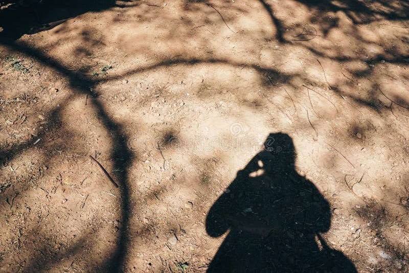 Shadow of People and Tree Branch Stock Image - Image of nature ...