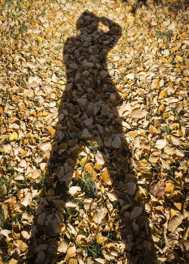 Shadow of a Person on a Background of Fall Leaves Stock Photo - Image ...