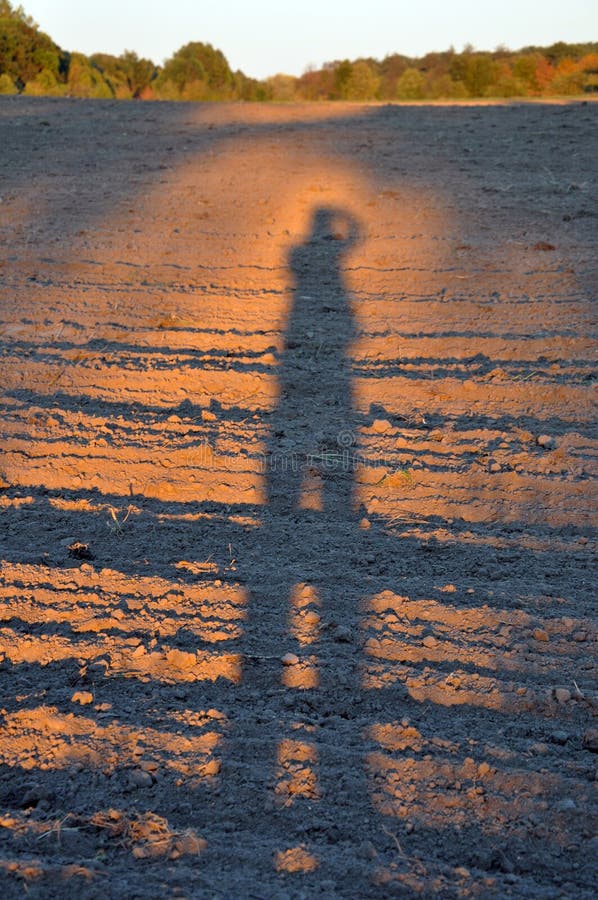 Shadow of Person on a Field Stock Image - Image of contrast, trees ...