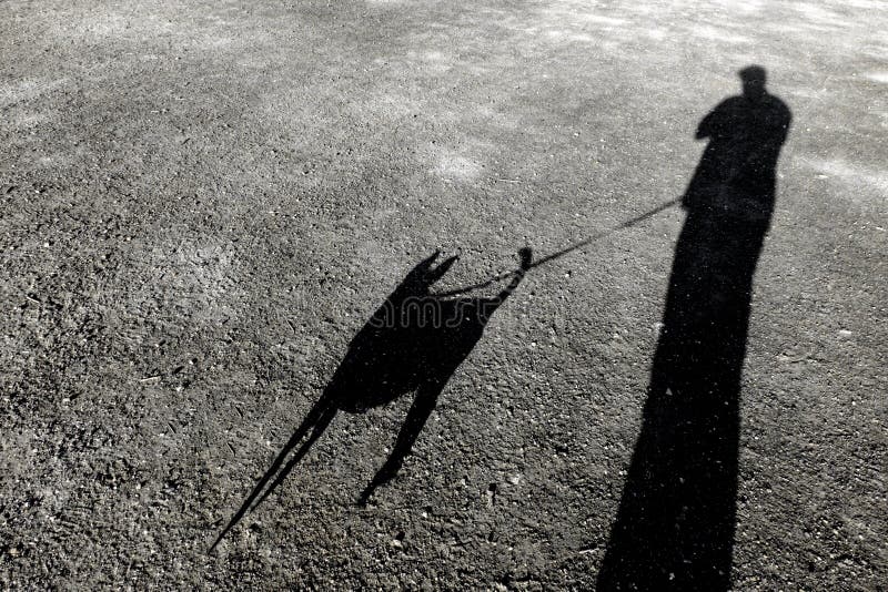 The Shadow of a Man Walking Their Dog Stock Image - Image of small ...