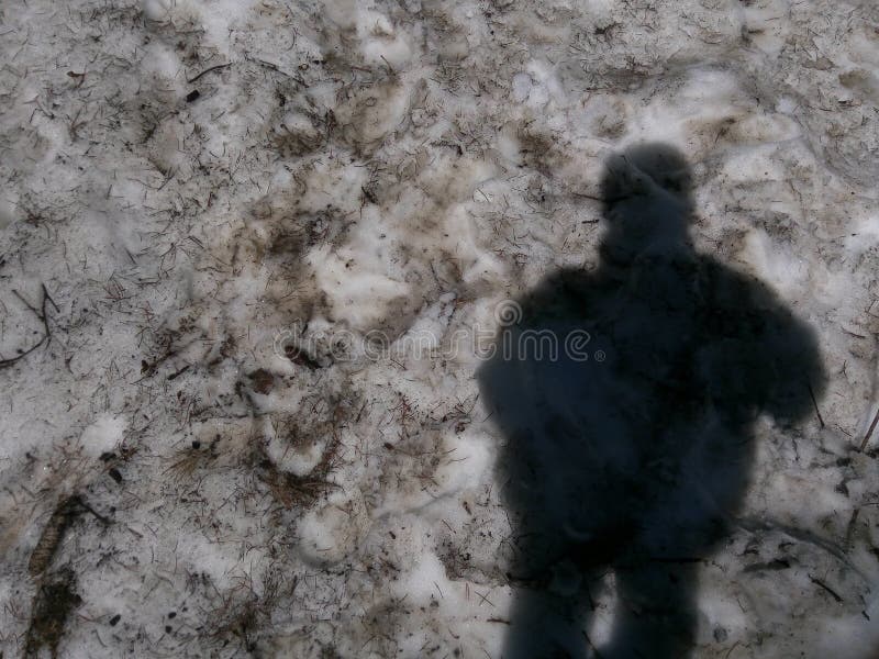 Shadow picture on ice stock photo. Image of shadow, snow - 120248348