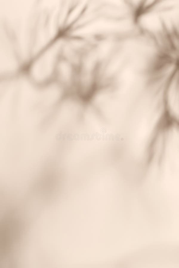 Shadow of Pine Tree on Solid Beige Wall Texture Background Stock Image ...