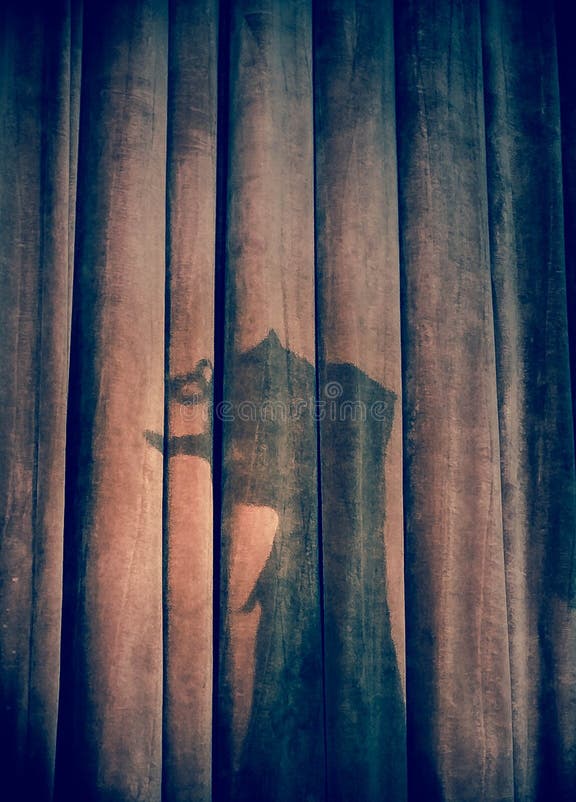 A Shadow of Pinocchio on the Stage Curtain Stock Photo - Image of fairy ...