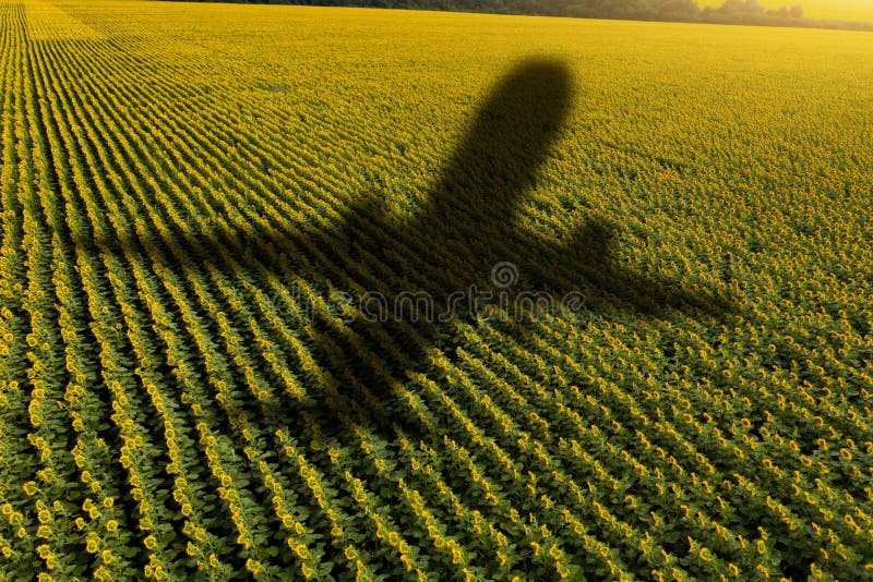 Shadow of the Plane on the Agricultural Field. Stock Image - Image of ...
